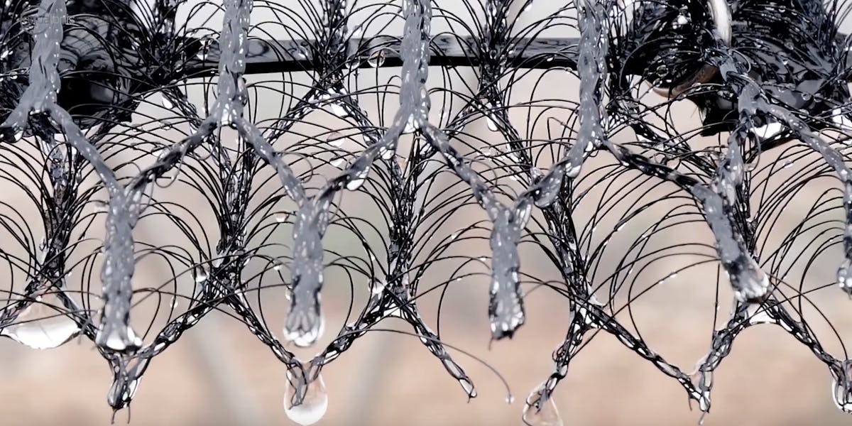 How Fog Harvesting Technology Provides Sustainable Clean Water for ...