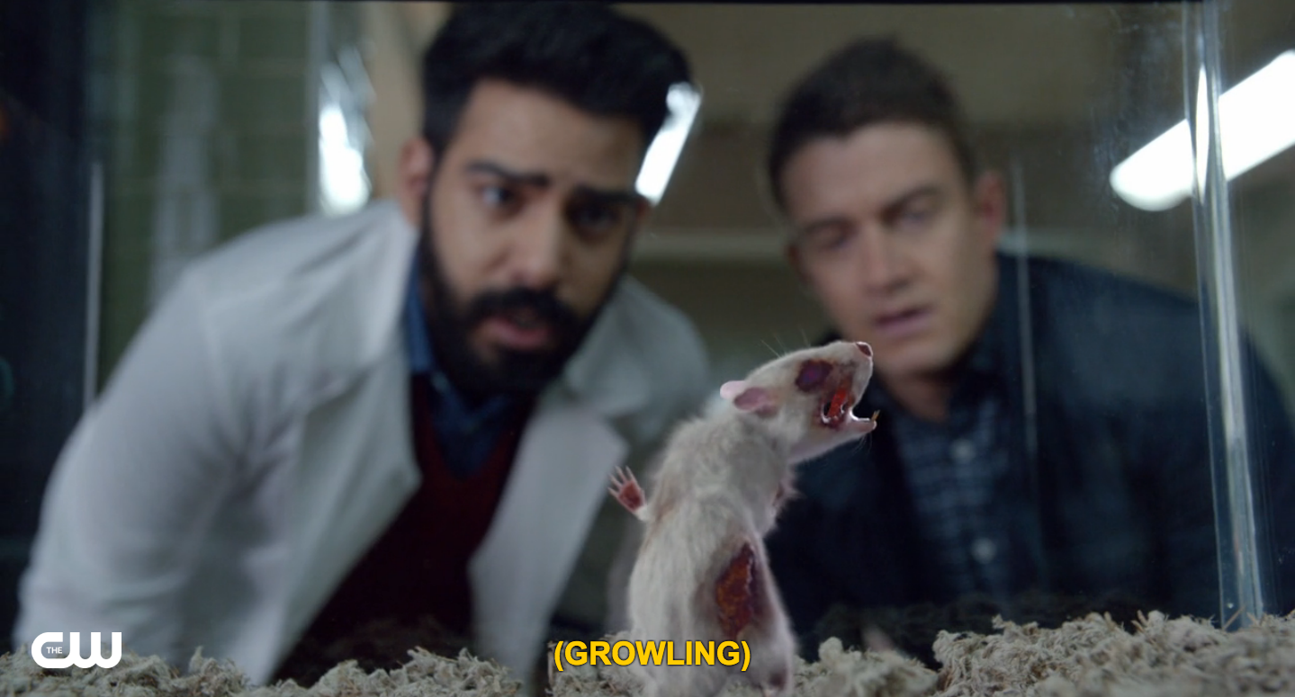 'iZombie' Delivers Lots of Confusion, Also a Zombie Rat | Inverse