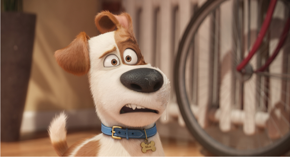 5 Best Stand-Up Comedians Voiced Animated Characters | Inverse