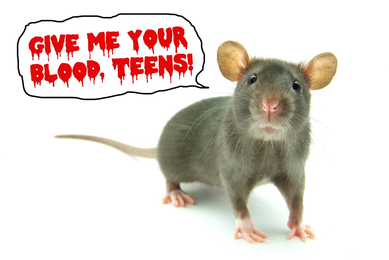 Alkahest Researchers Rejuvenate Old Mice With Blood from Human Teens ...