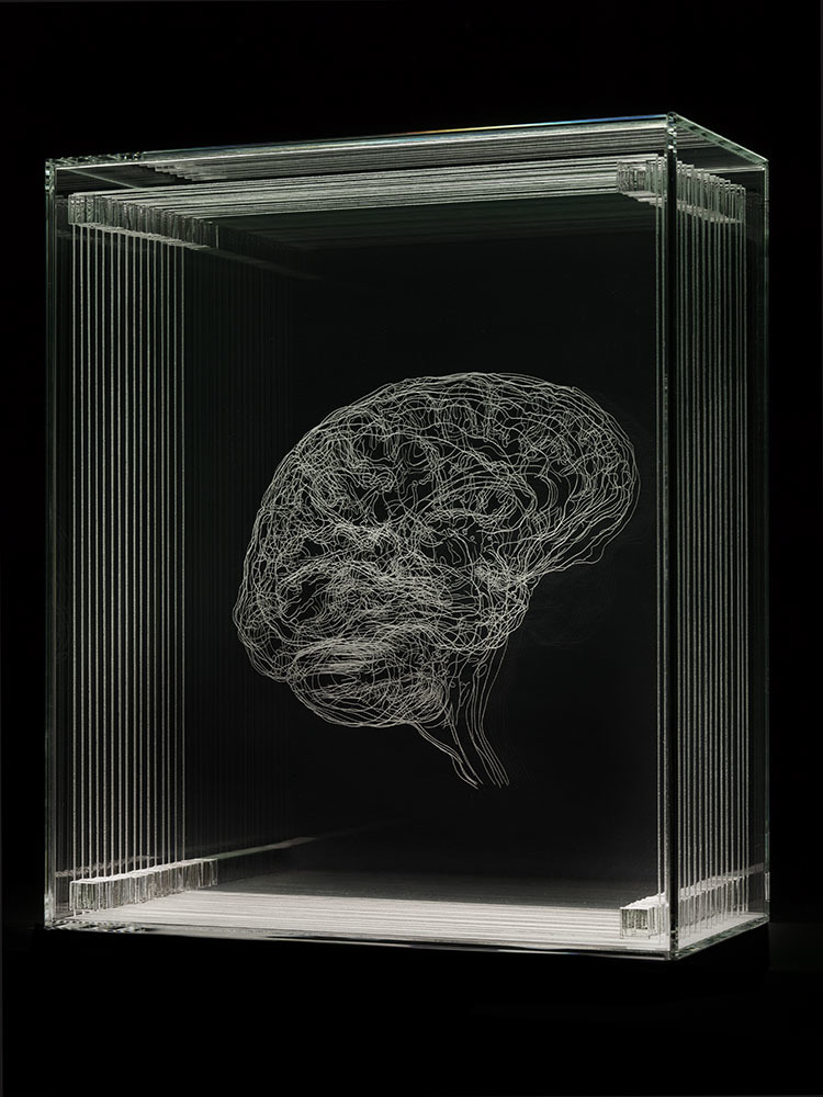 Modern Artist Angela Palmer on Sculpting From Science | Inverse