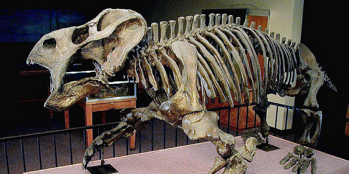 ‘Phantom’ Footprints That Stumped Paleontologists For Years Finally ...