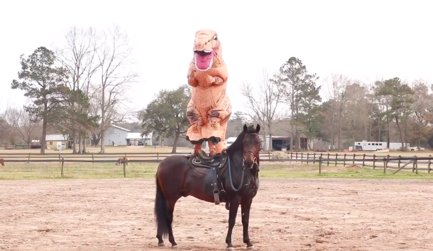 Guy Dressed as T. Rex Does Tricks With, Then "Eats" Horse in This Video ...