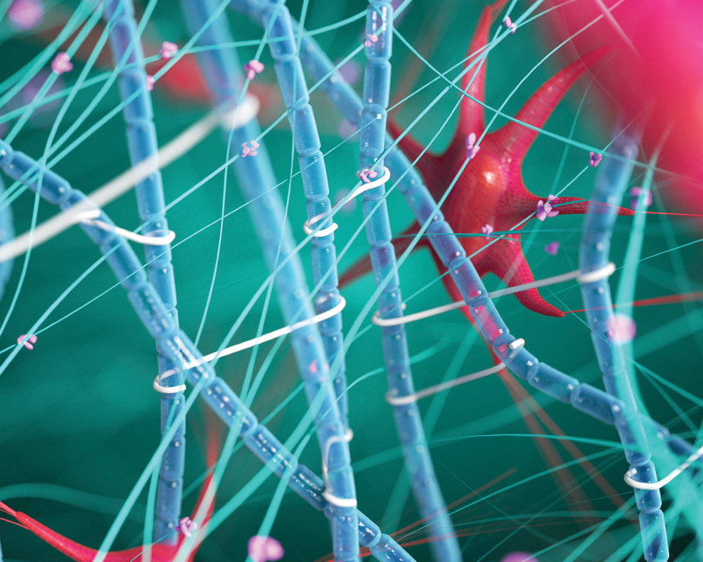 Liquid Bandage Made of Plant Polymers Can Stop Bleeding Instantly | Inverse