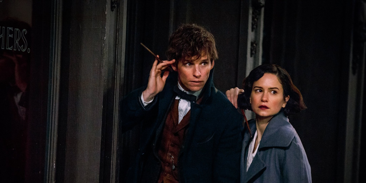 Meet Porpentina Goldstein In 'Fantastic Beasts, The New Leading Potter ...