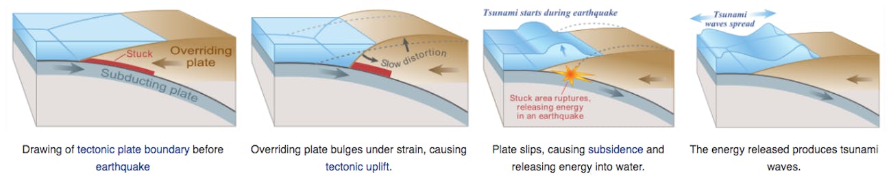 Tsunami Warning in Vancouver: How Earthquakes Cause These Waves | Inverse
