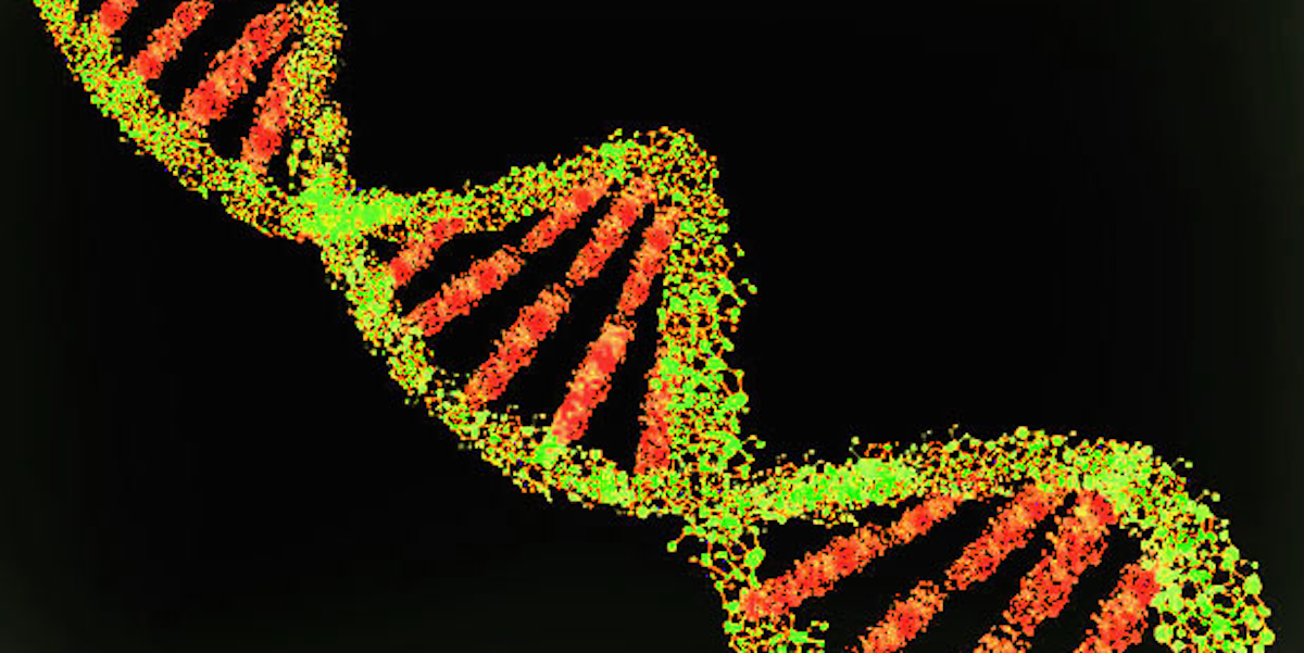 Salk Institute Geneticists Show How to Alter Diseased DNA | Inverse