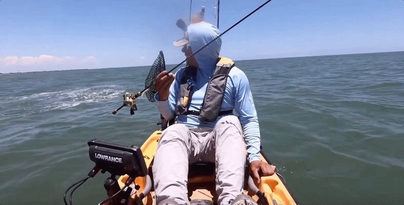 Video of Giant Manta Ray in Texas Baffles Internet But Not Researchers ...