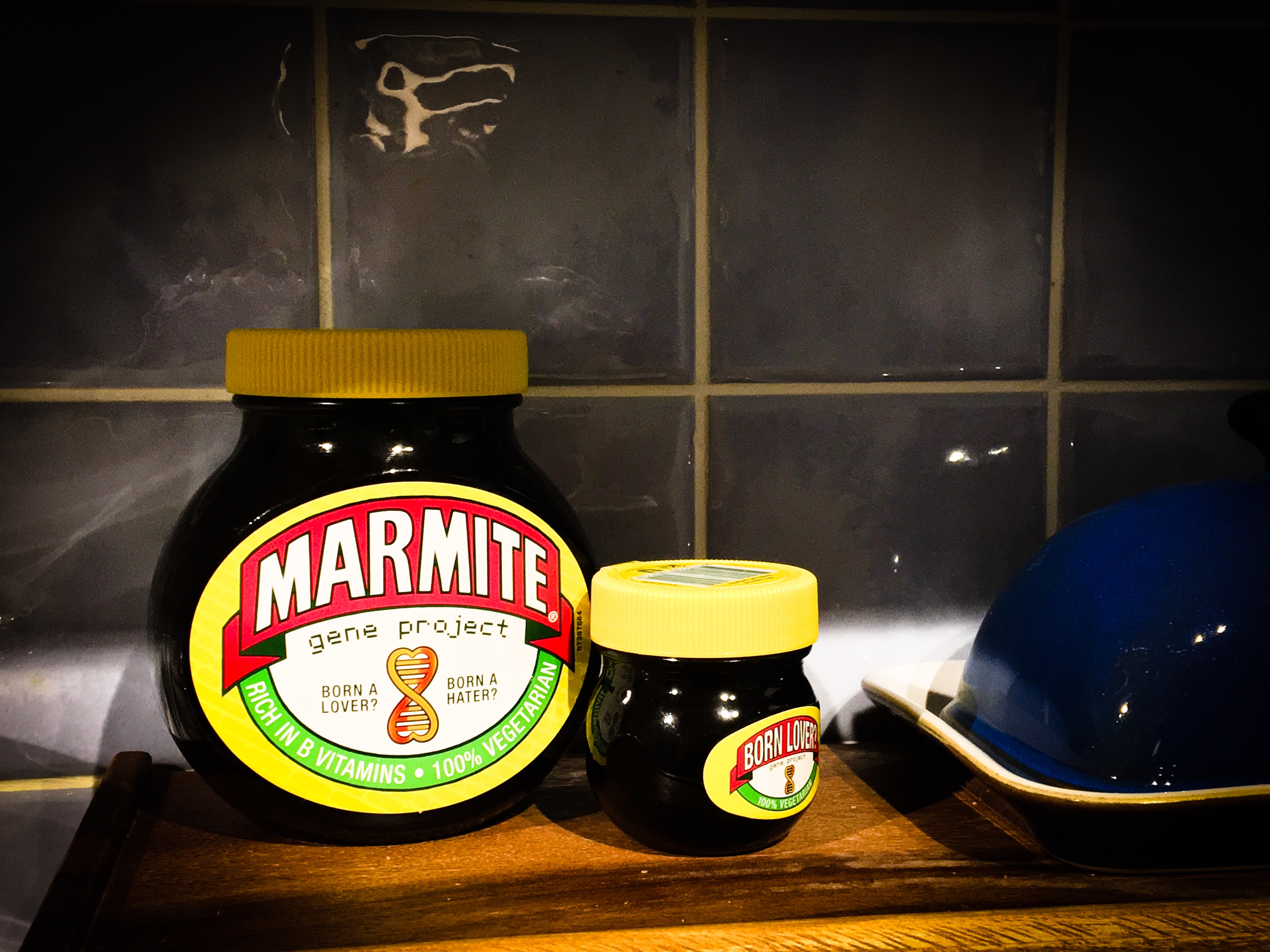 Lucy Wills: How She Changed the Reputation of Marmite in India | Inverse