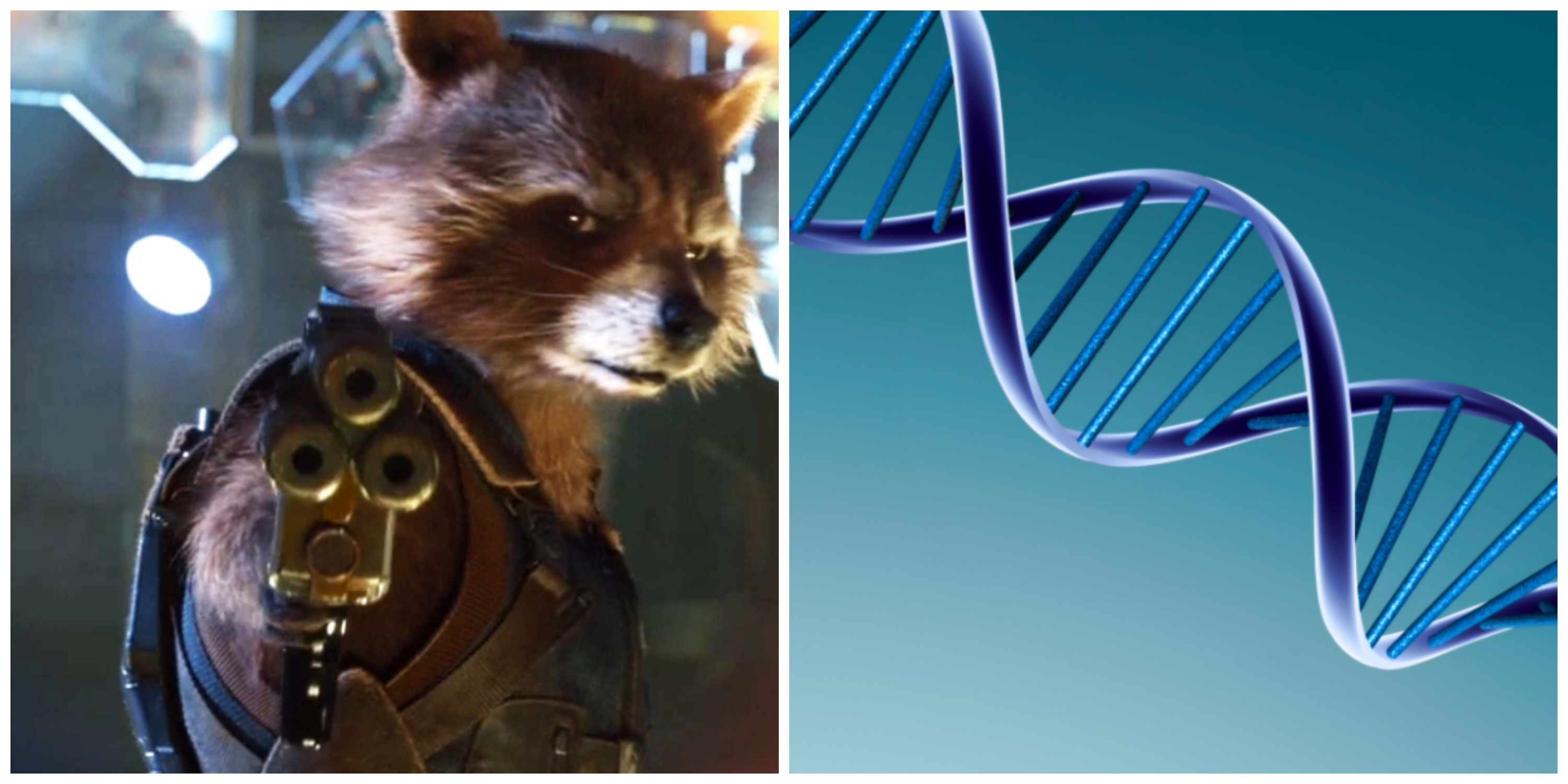 'Guardians of the Galaxy 2' Will Be 2017’s Best Movie About Genetic ...